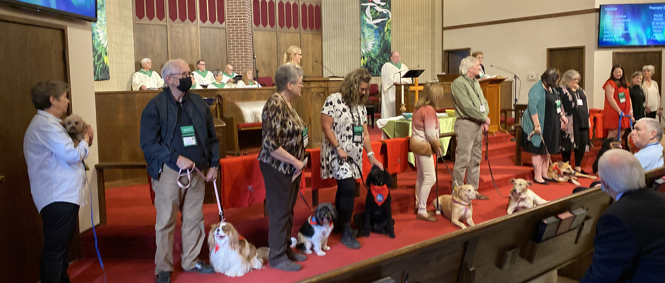 Book brings pet ministry into church’s mainstream – Baptist News Global